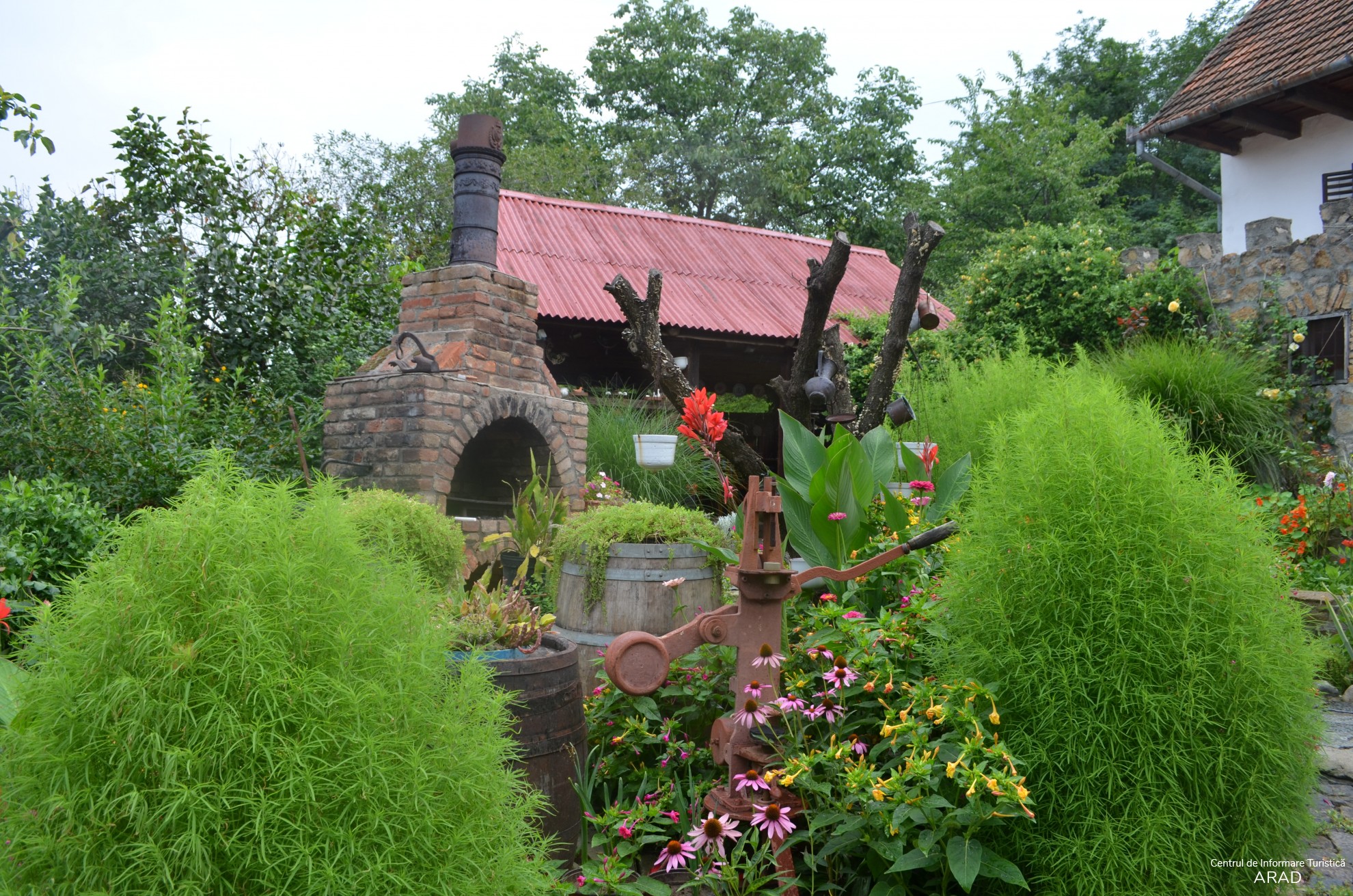 At Amadeus&Monica | CNIPT Arad