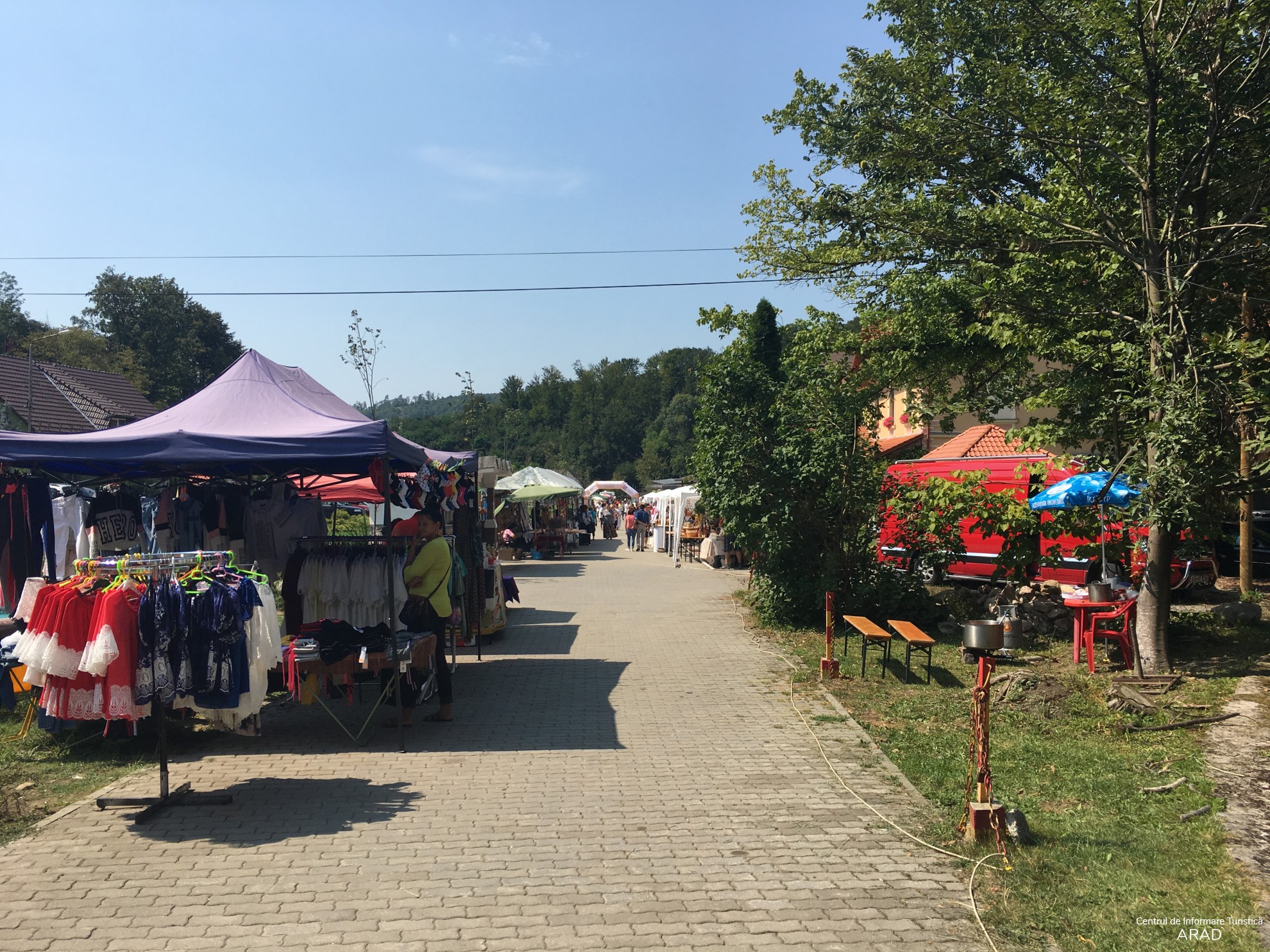 Despre stațiunea Moneasa | CNIPT Arad