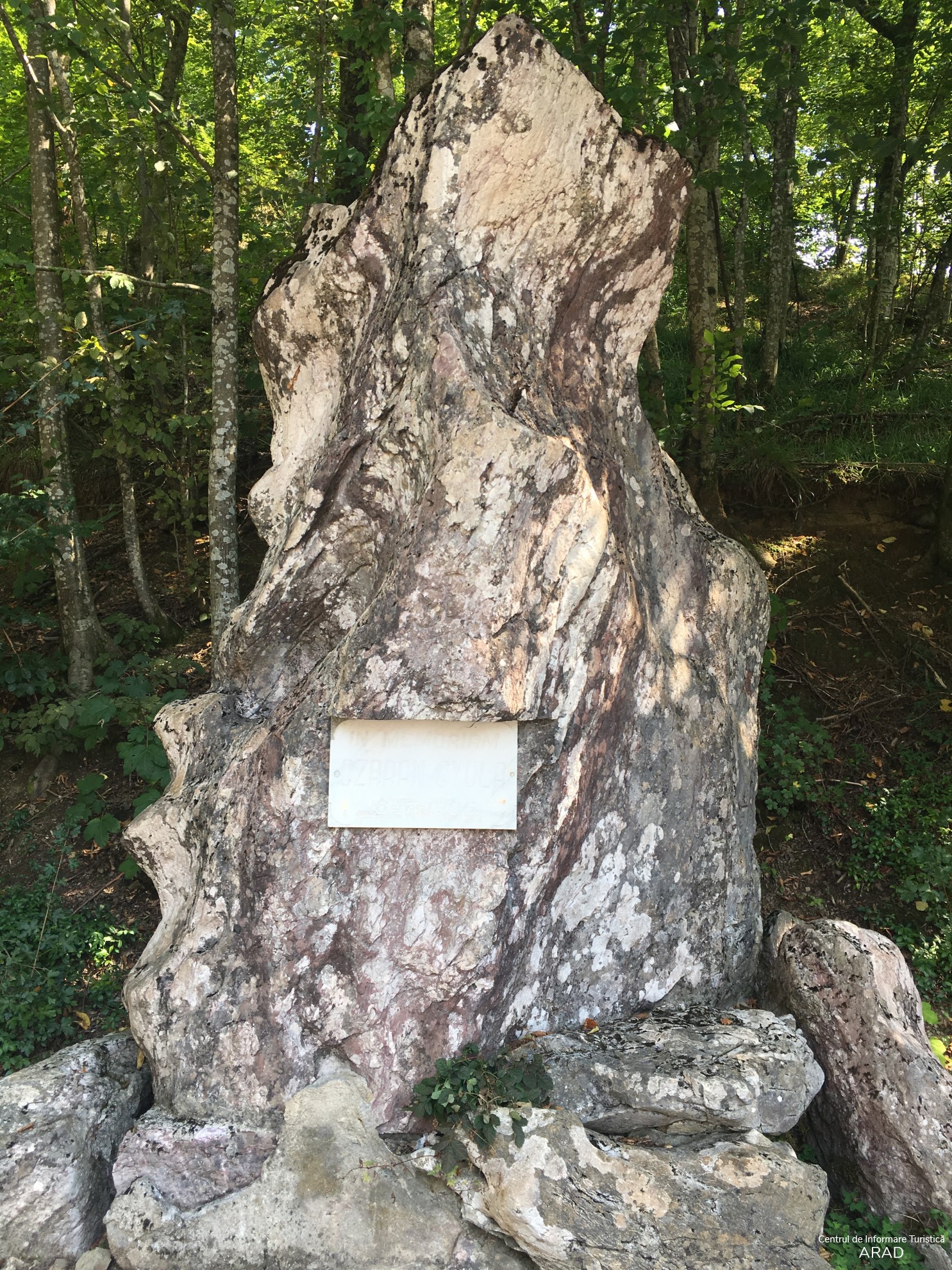 Despre stațiunea Moneasa | CNIPT Arad