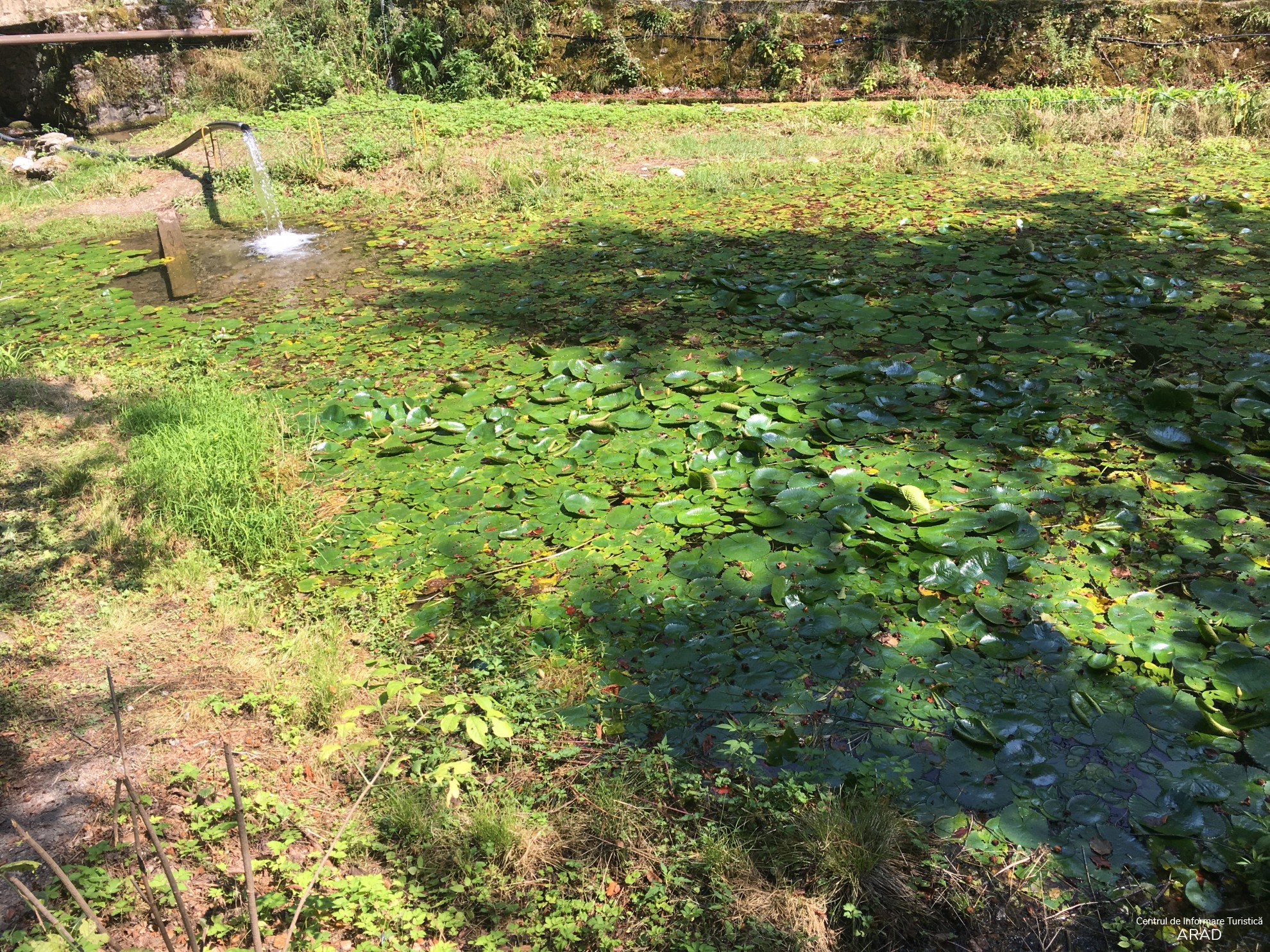 Despre stațiunea Moneasa | CNIPT Arad