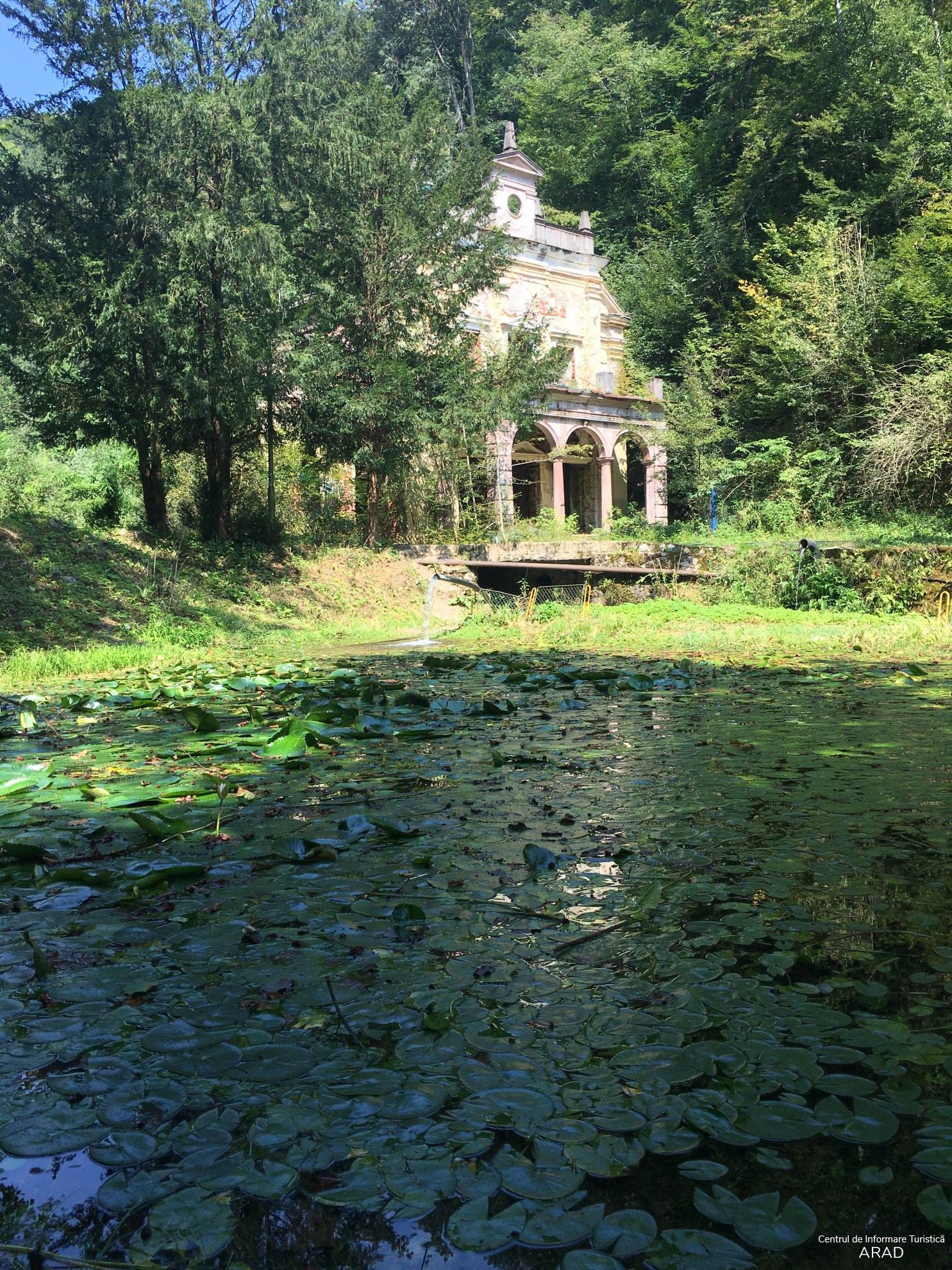 Despre stațiunea Moneasa | CNIPT Arad