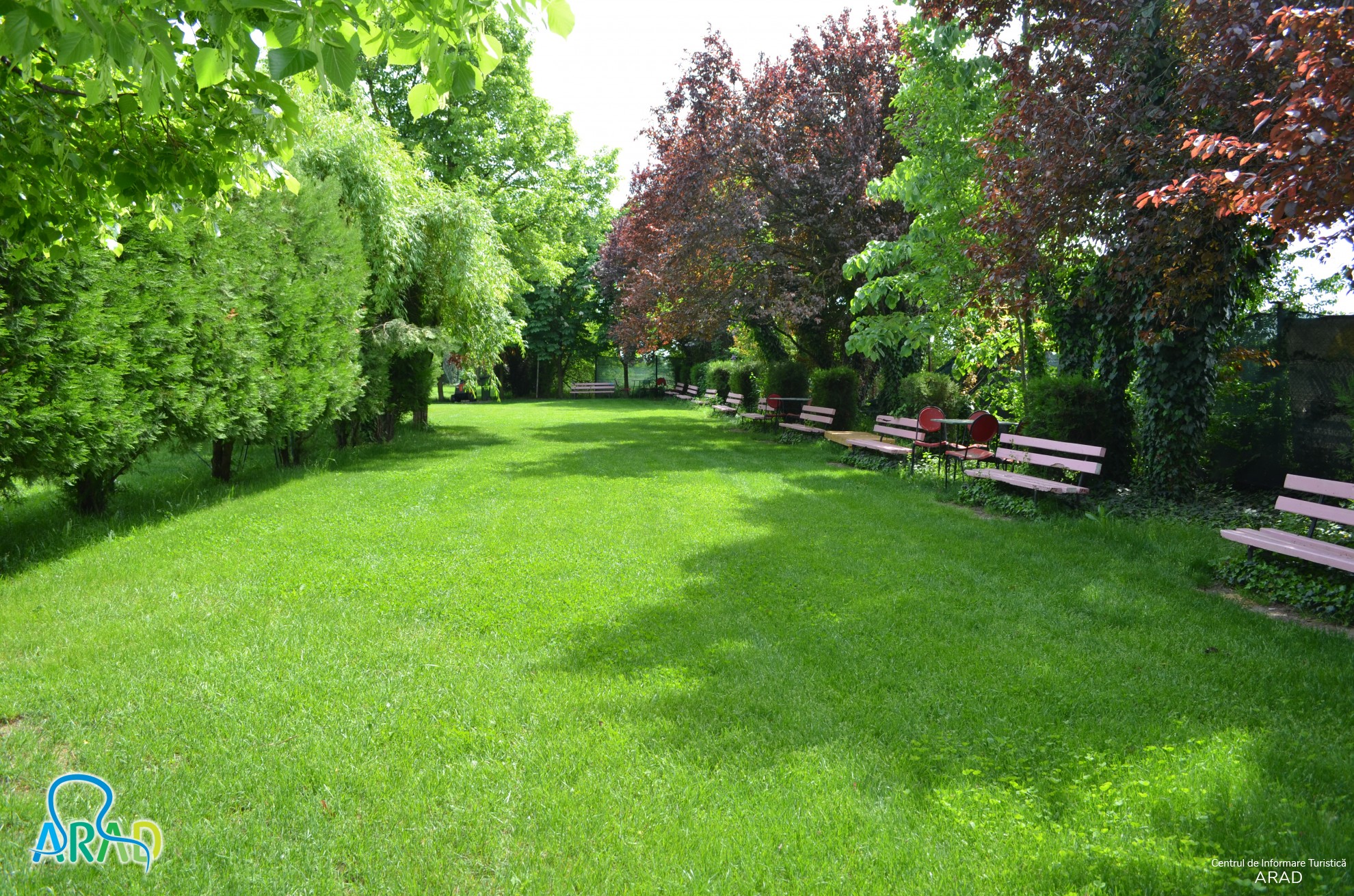 Die Macea-Dorobanți Route | CNIPT Arad