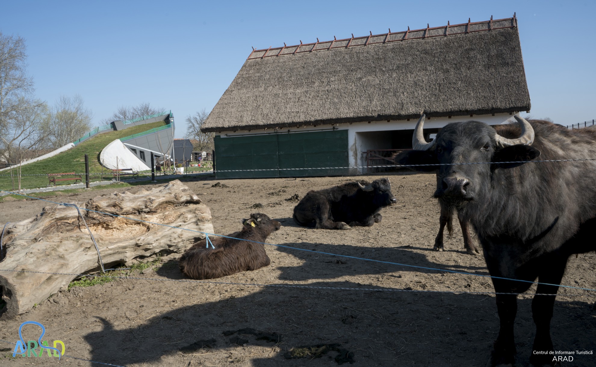 Traseul Pecica-Vinga | CNIPT Arad