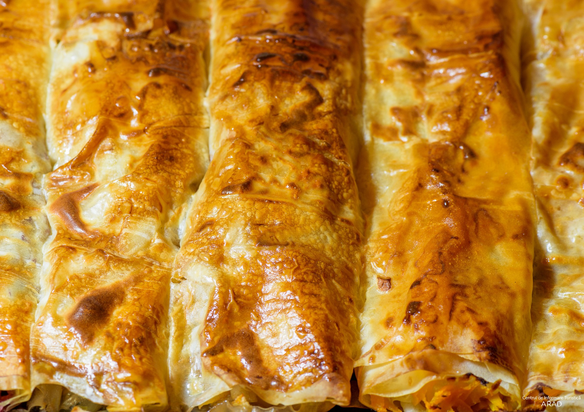 Traseul Pecica-Vinga | CNIPT Arad