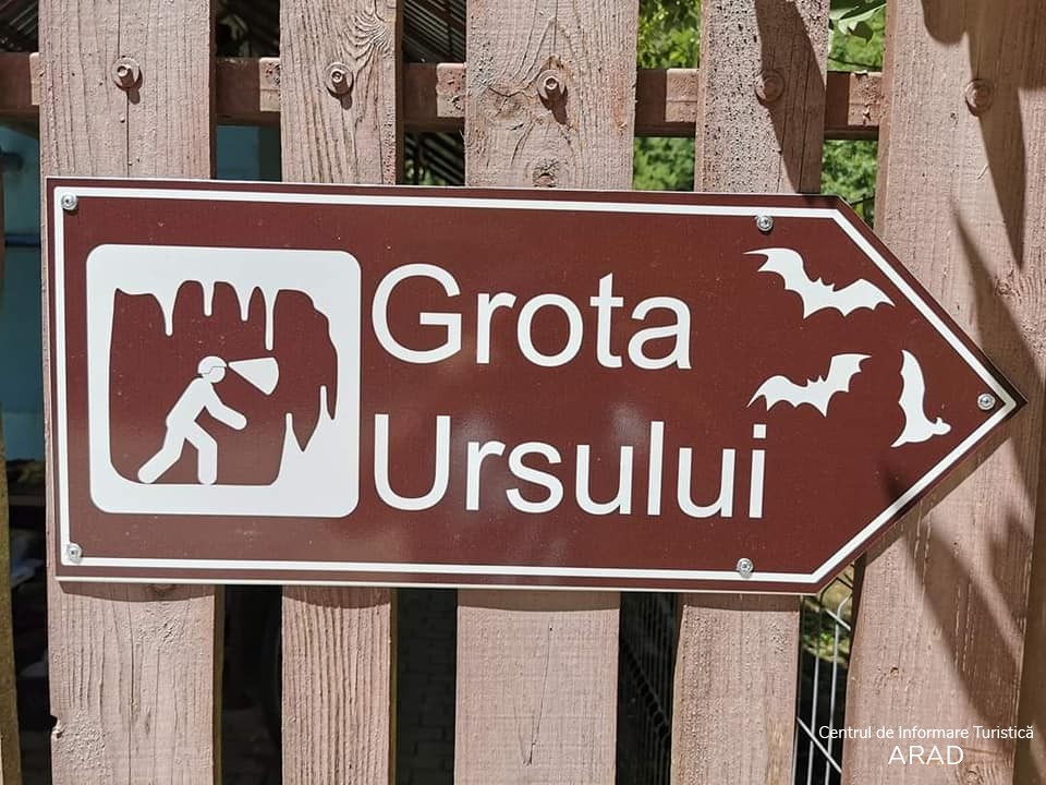 Peștera „Grota Ursului” | CNIPT Arad