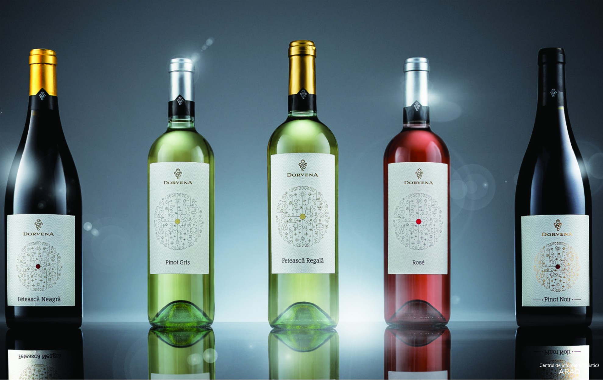 Crama Dorvena | CNIPT Arad