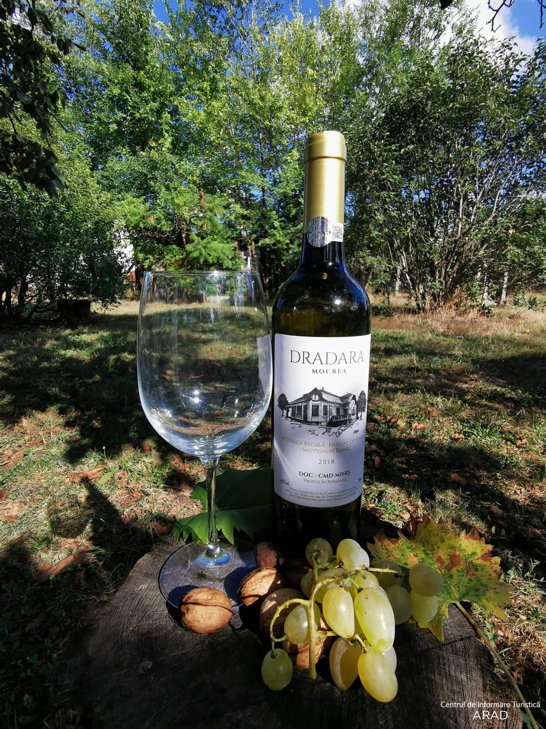 Crama Dradara | CNIPT Arad