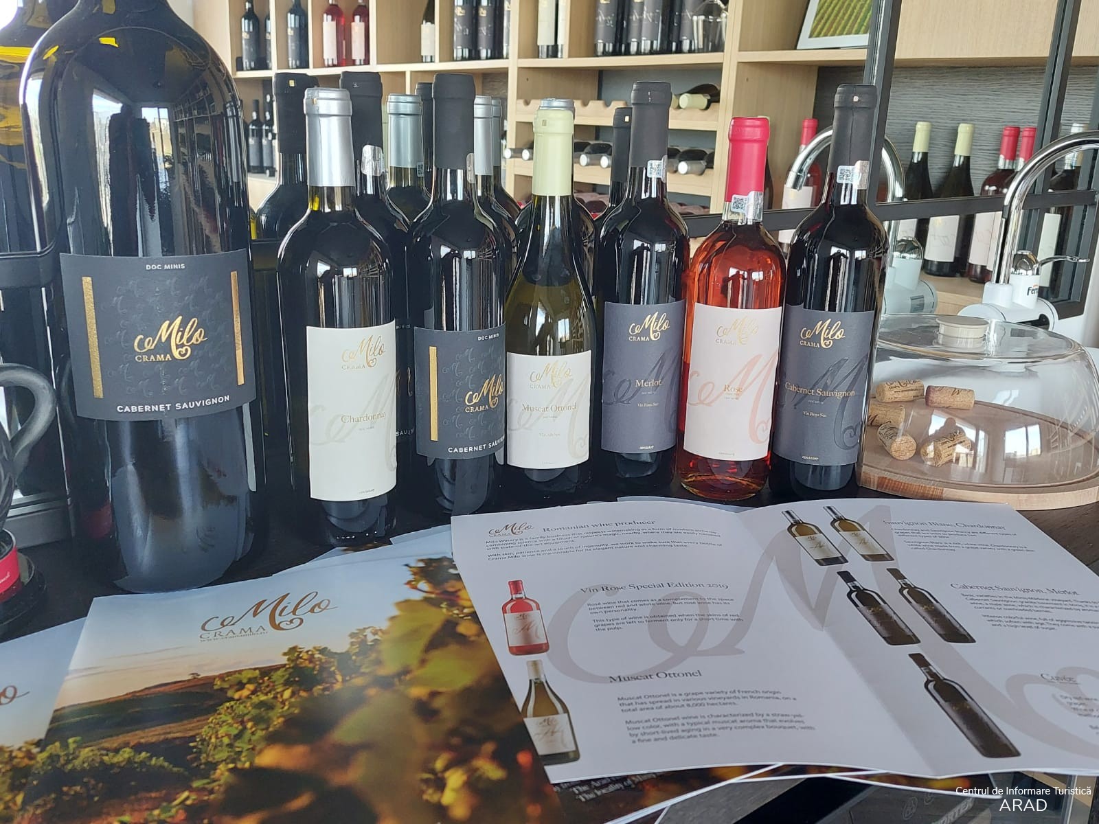 Crama Milo | CNIPT Arad