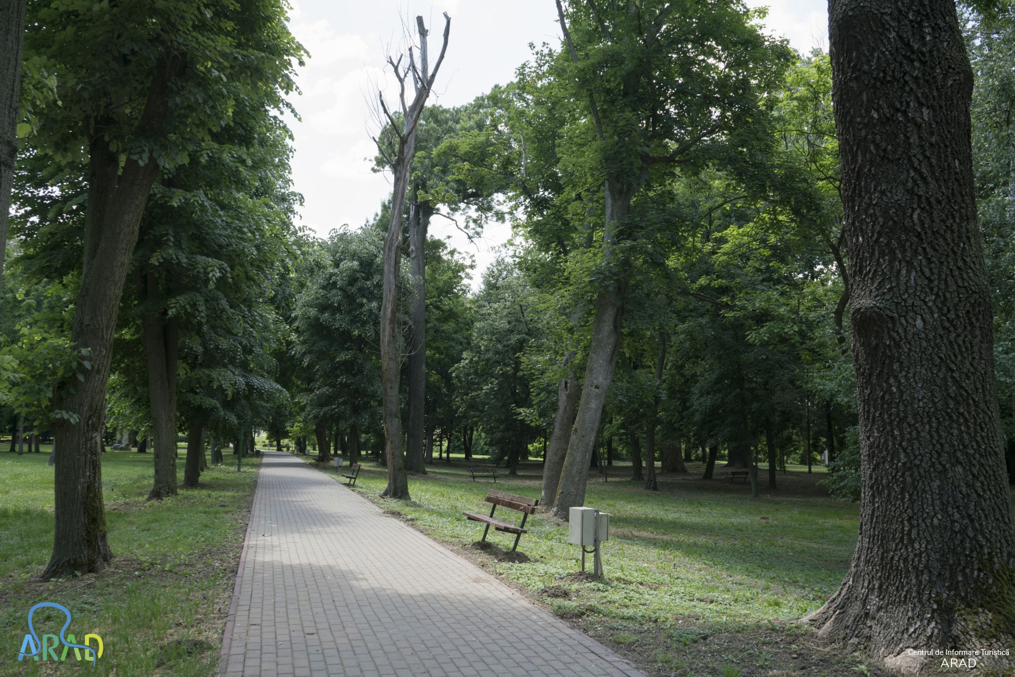 Parcul dendrologic din Ineu | CNIPT Arad