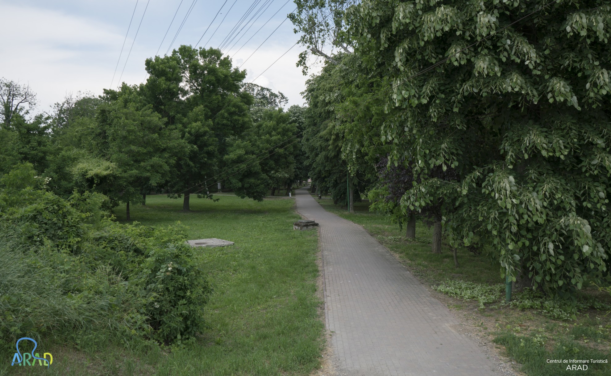 Parcul dendrologic din Ineu | CNIPT Arad