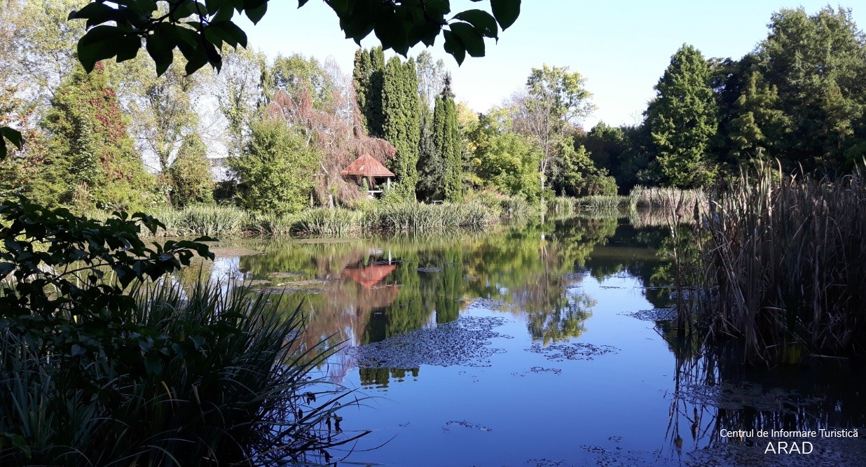 Rezervația „Dosul Laurului” | CNIPT Arad