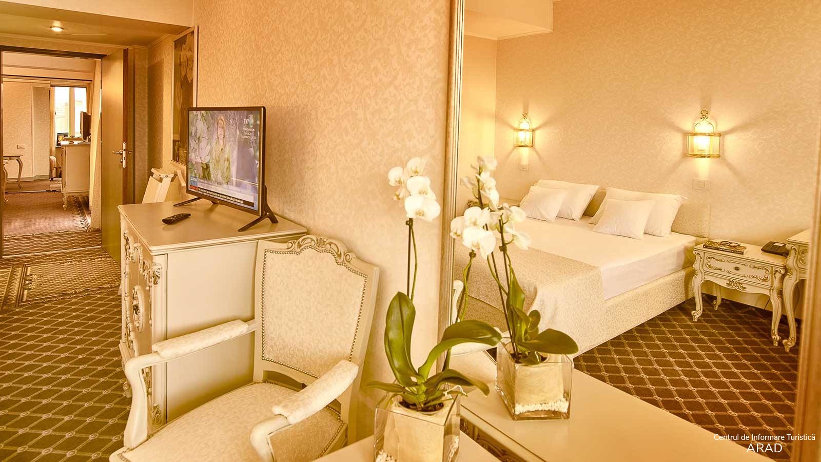 Das Hotel Continental | CNIPT Arad